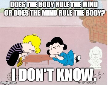 Schroeder Meme