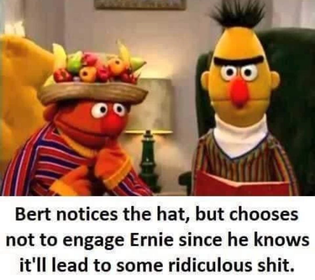 I Didn’t Need To Find Out About Dark Bert and Ernie Memes! – hebspeaks